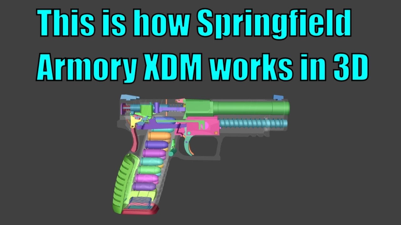 This is how Springfield Armory XDM works | WOG | - YouTube