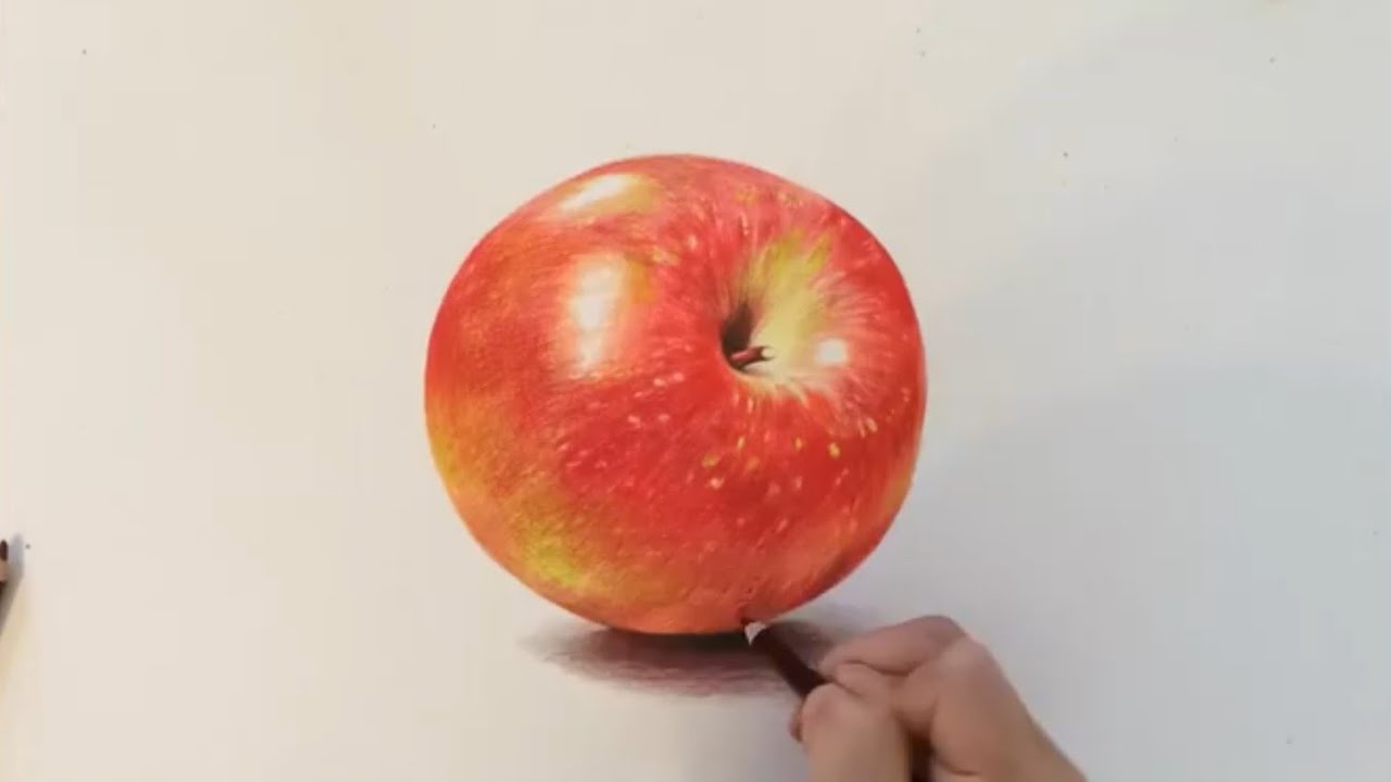 Drawing of Apple // drawing of realistic apple step by step// drawing ...