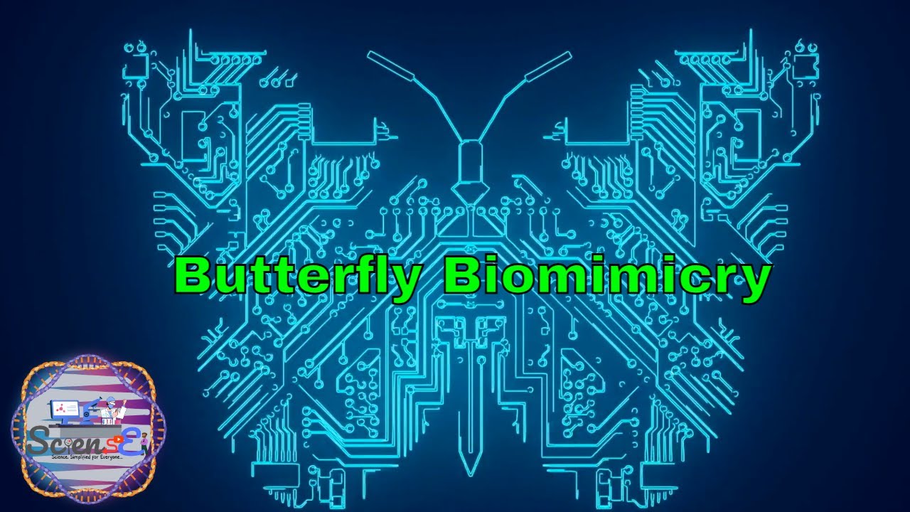 Butterfly Biomimicry: Inspiring the Future of Aviation and Technology ...