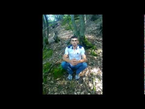 hz eli haqqnda seyir turxan ehli namaz