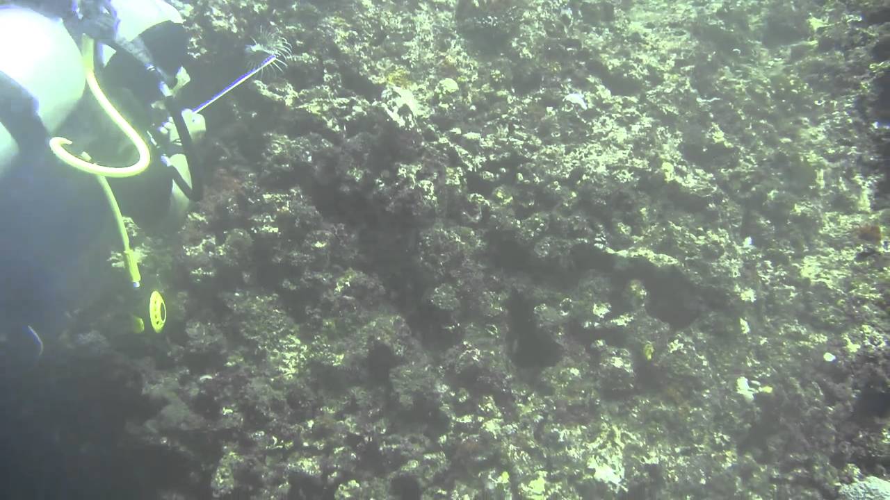 Diving Site: Friday Rock (Boracay) [HD] - YouTube
