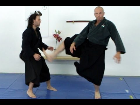 Yoku sokugyaku geri, side push kick, basic - Ninjutsu technique for ...