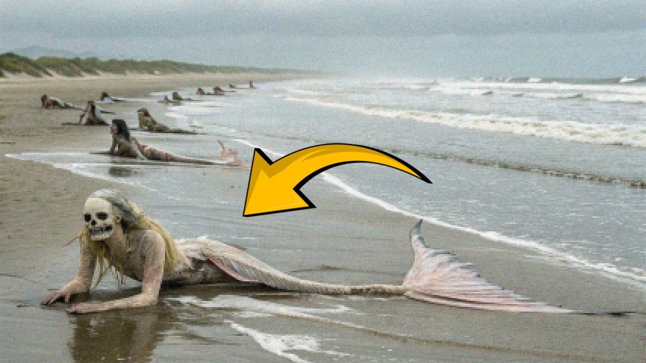 This Is Why Mermaids Washed Ashore In Indonesia - YouTube