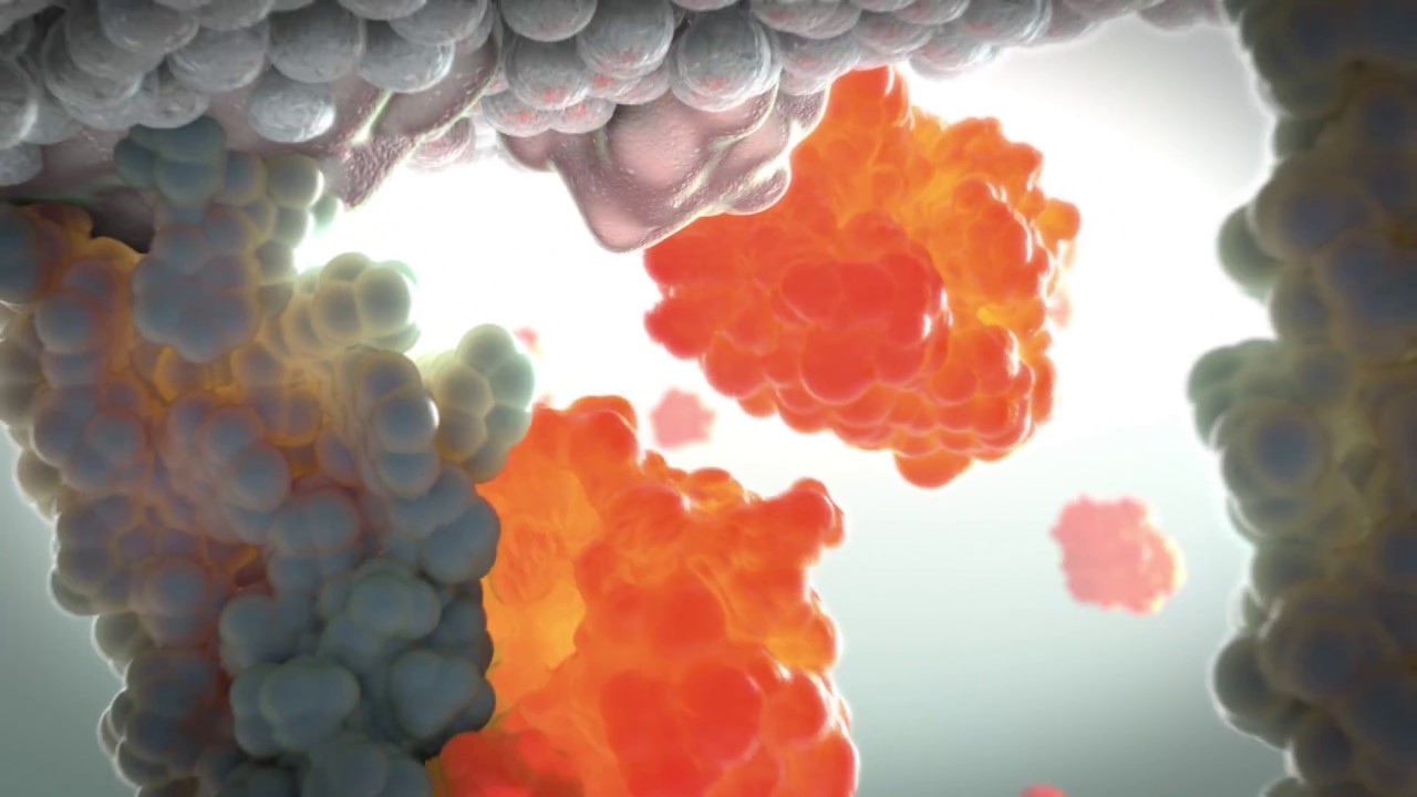 Trypsinization - YouTube