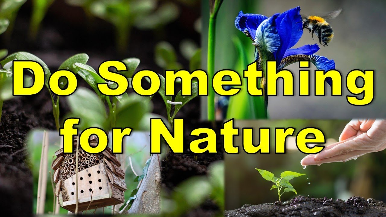 Do Something for Nature - YouTube