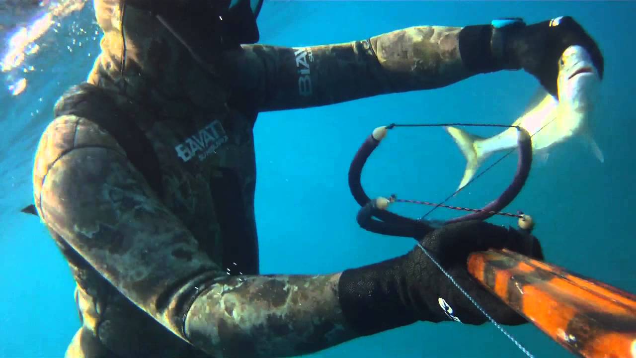 Pesca Subacquea con Arbalete Idrotech, Carloforte - YouTube