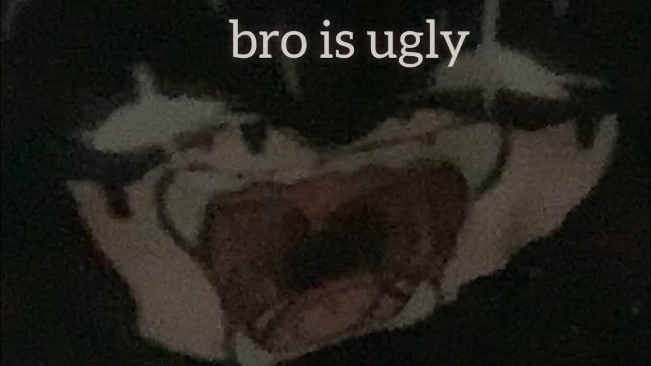 I just ordered a doors backpack and it is amazing (kinda) - YouTube