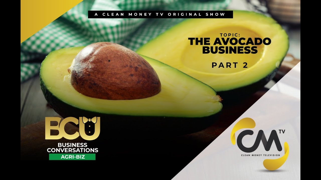 Business Conversations -Agribusiness : Avocado Business Part 2 - YouTube