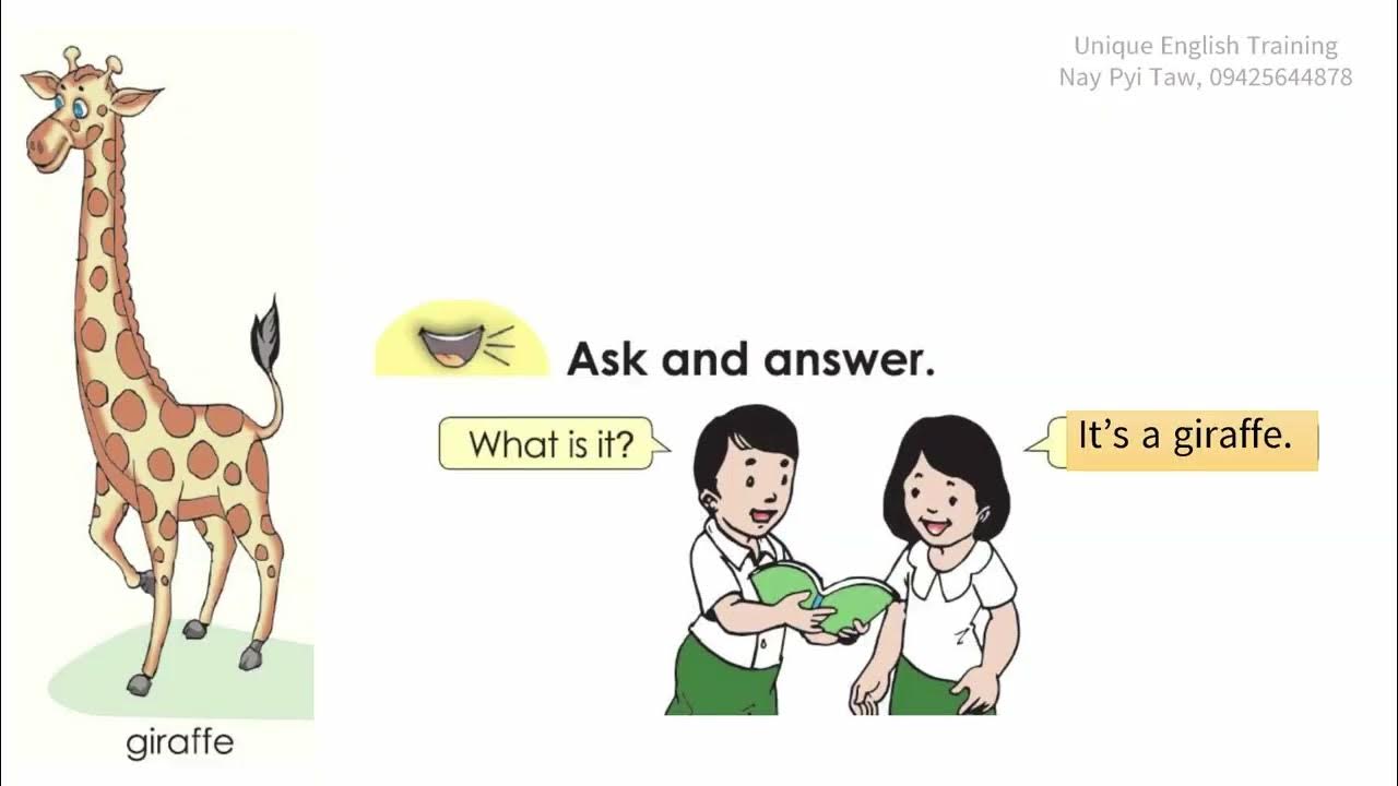 Grade 2 English အင်္ဂလိပ်စာ သင်ရိုးသစ် Unit 5 Lesson 1 အမေးနှင့်အဖြေ Youtube