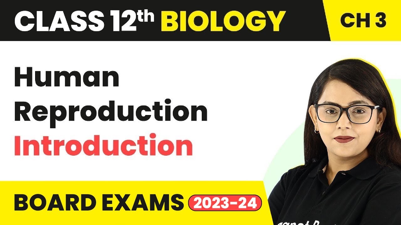 Class 12 Biology Chapter 3 | Human Reproduction - Introduction CBSE ...