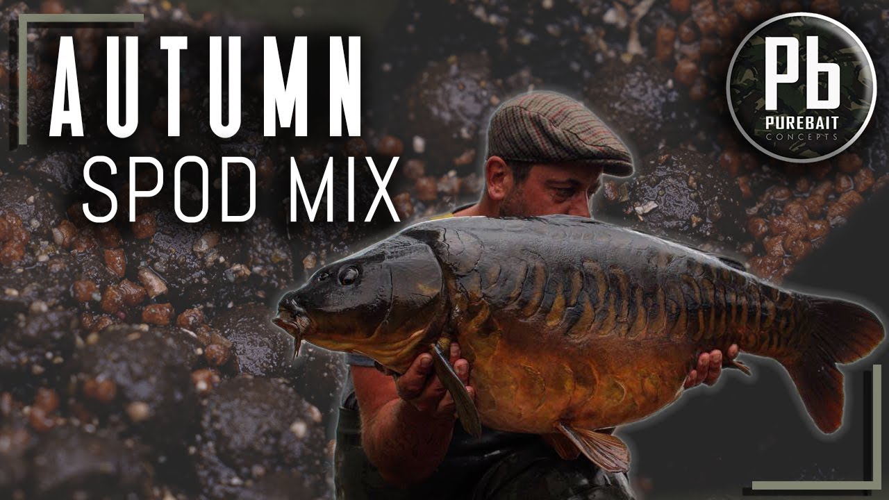 Carp Fishing - The Best Autumn Spod Mix (Pure Bait Concepts) - YouTube