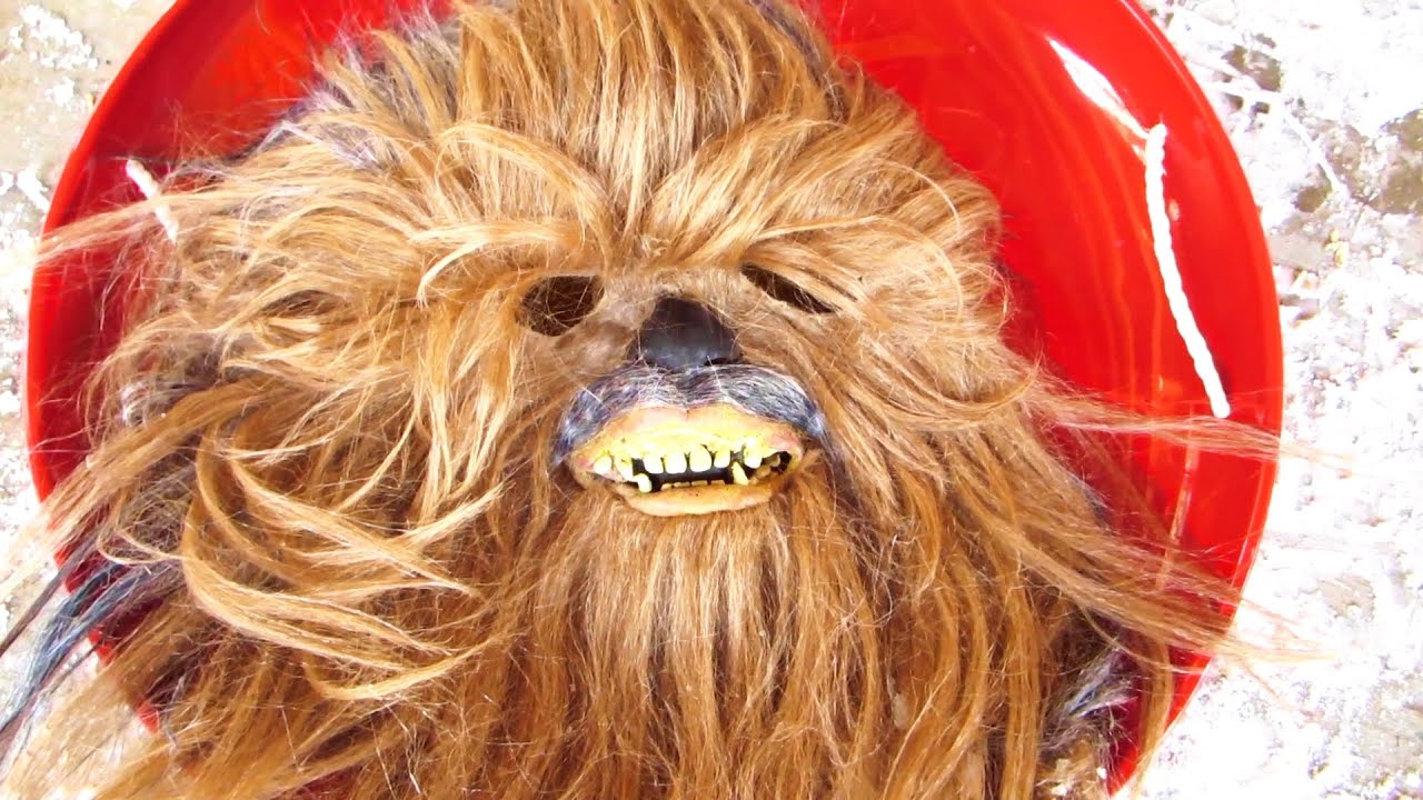 Frozen Chewbacca Mask Stuck To A Snow Sled!! - YouTube