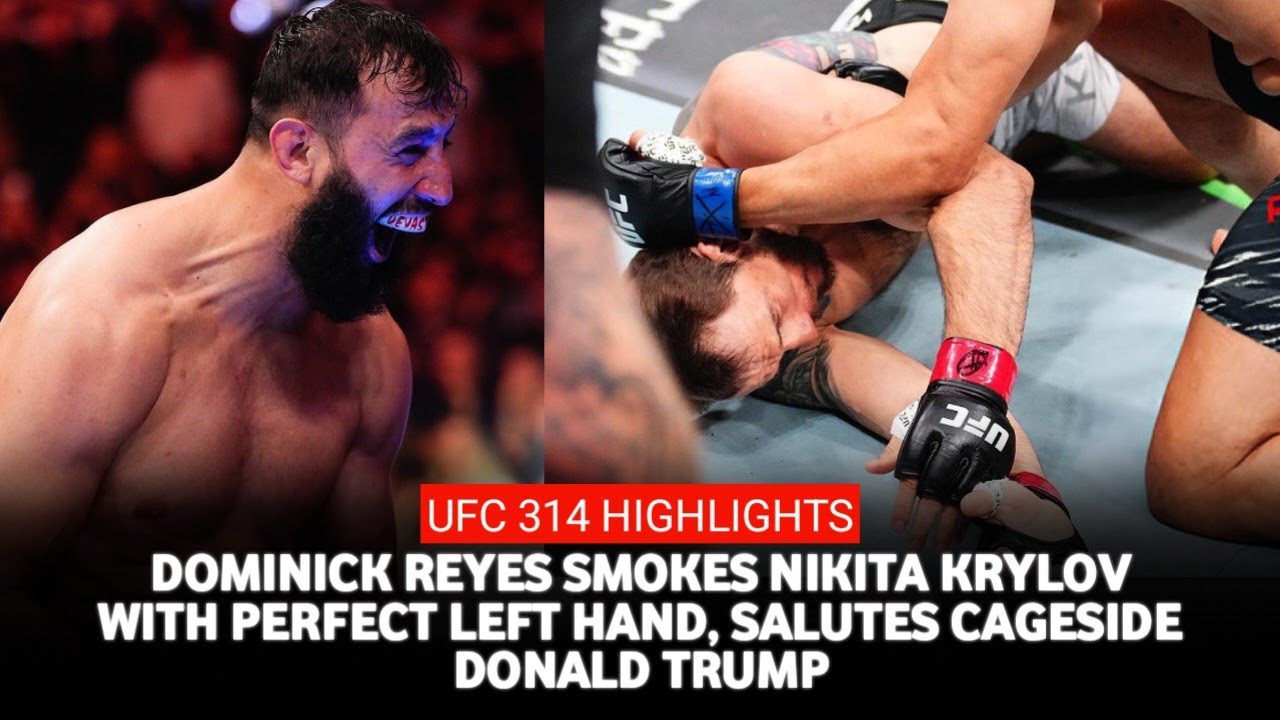 UFC 314 results: Dominick Reyes Lands Heavy Counter Left Hook, Puts ...