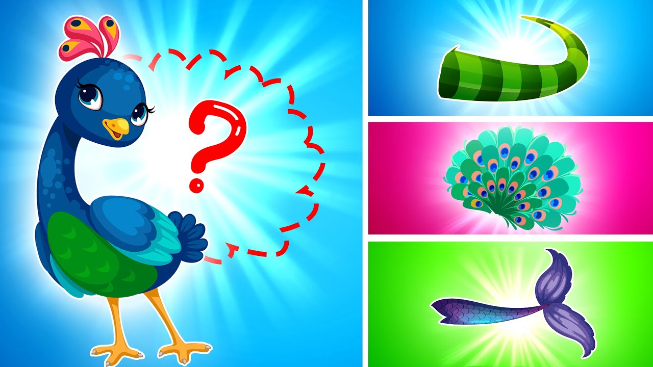 Where Is My Tail? - Nursery Rhymes & Kids Songs | Cherry Berry Song ...