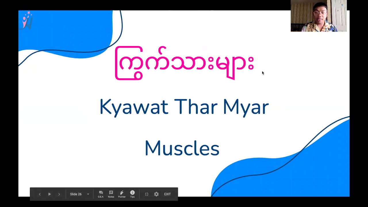 Learn Burmese with Hein - Human Body Parts; Organs #heineducation # ...