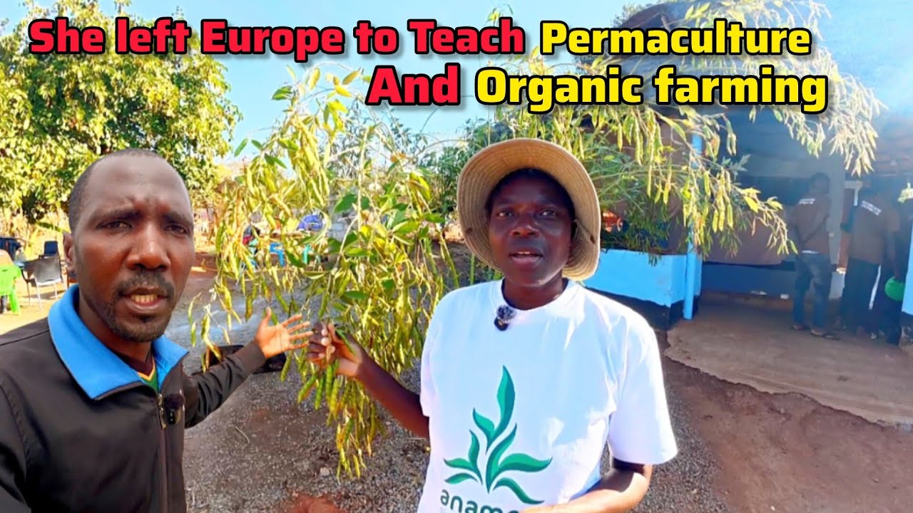 Celebrating stories of change at Ubuntu Zambia through permaculture and ...