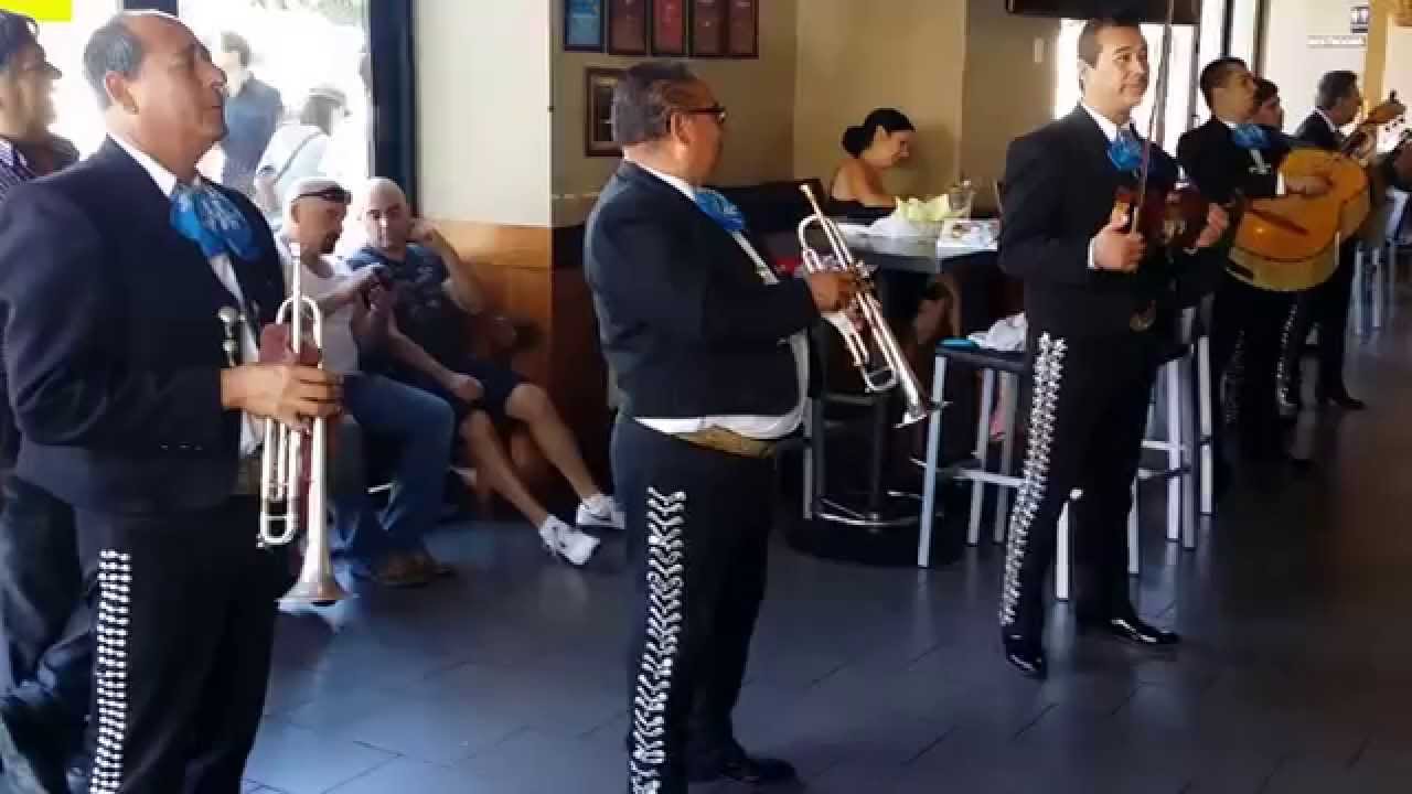MARIACHI (AMERICANA) FRIDA MEXICAN CUISINE RESTAURANT (video #2) - YouTube
