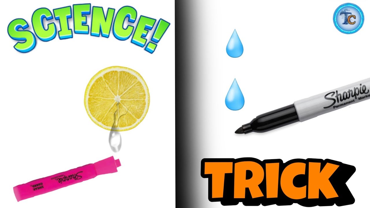 ||science tricks||Marker and highlighter remover|| by/Techno Club ...