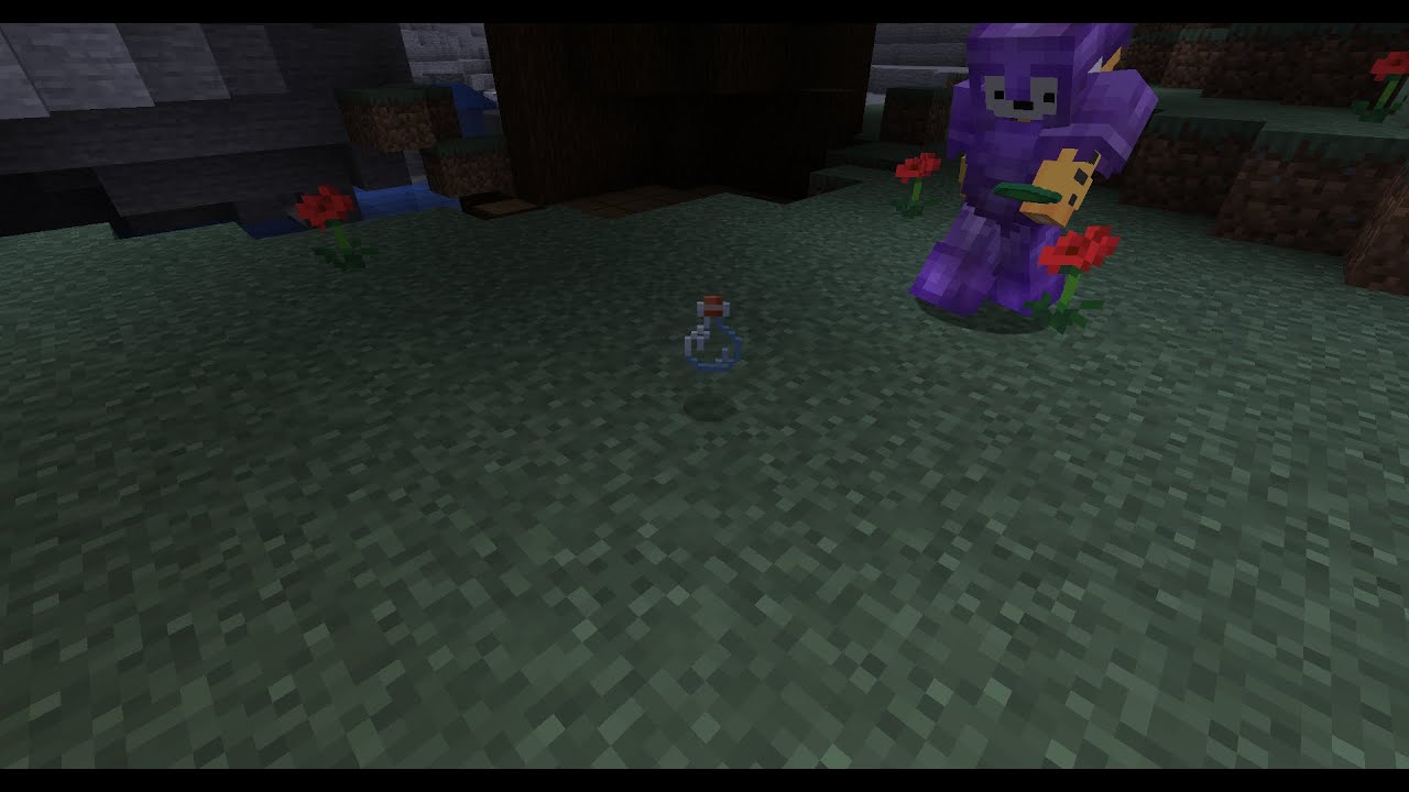 Minecraft-Chicken SMP Invisibility potion go brr - YouTube