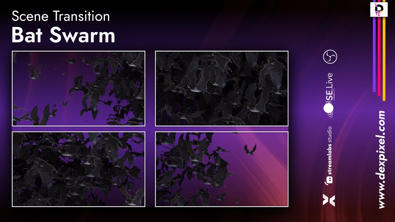 🦇 Bat Swarm Scary Stream Transition | Halloween Horror Stream Stinger ...