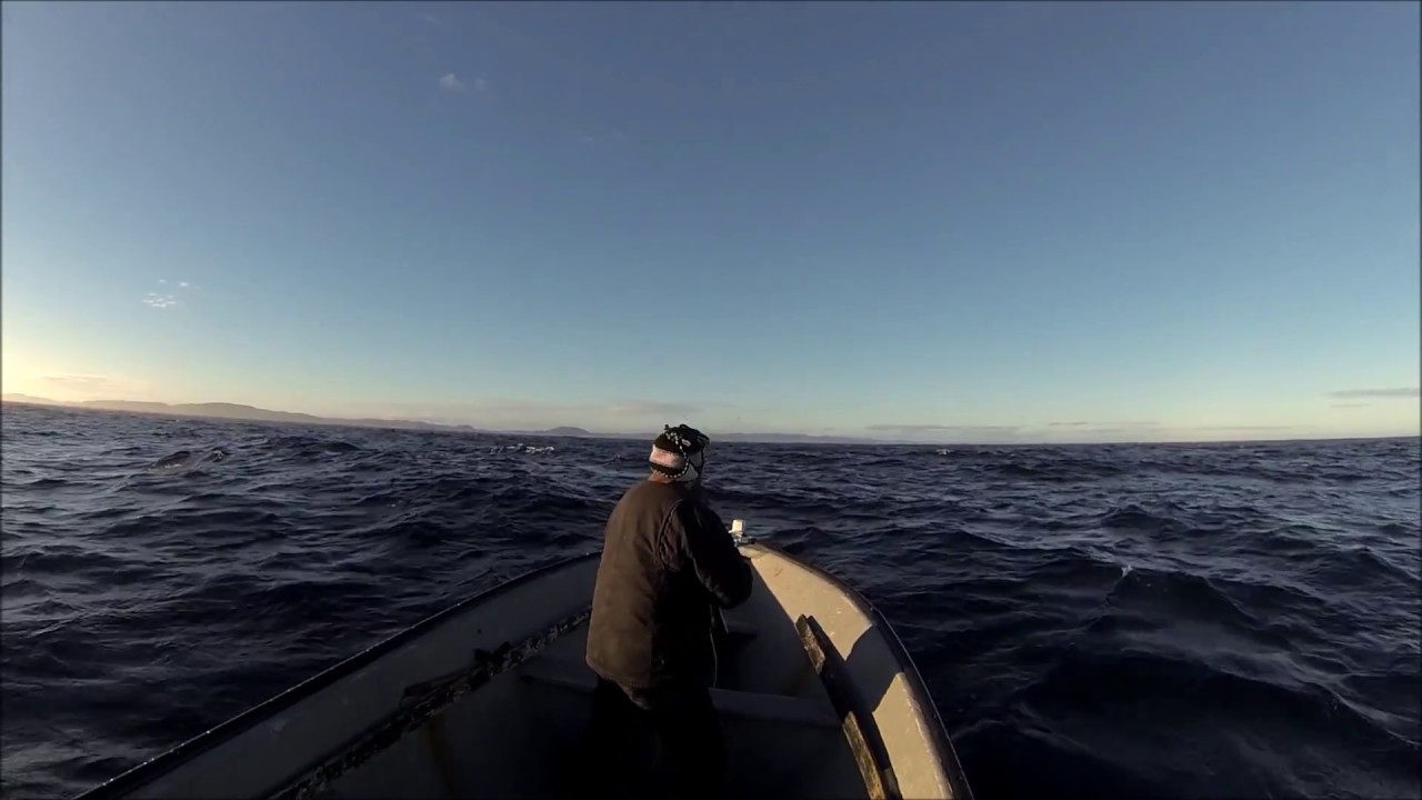 Turr Hunting Adventure.... - YouTube