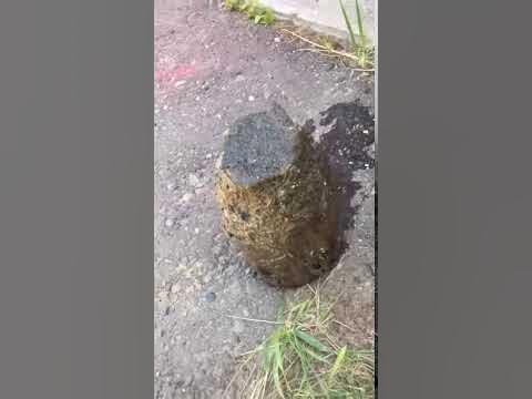 Поселок Алтан. Чопик в трубе - YouTube