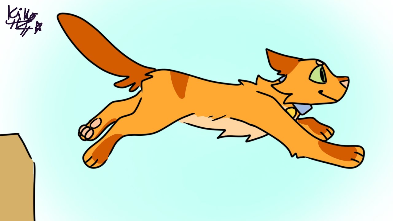 Rusty Warrior Cats PMV - YouTube