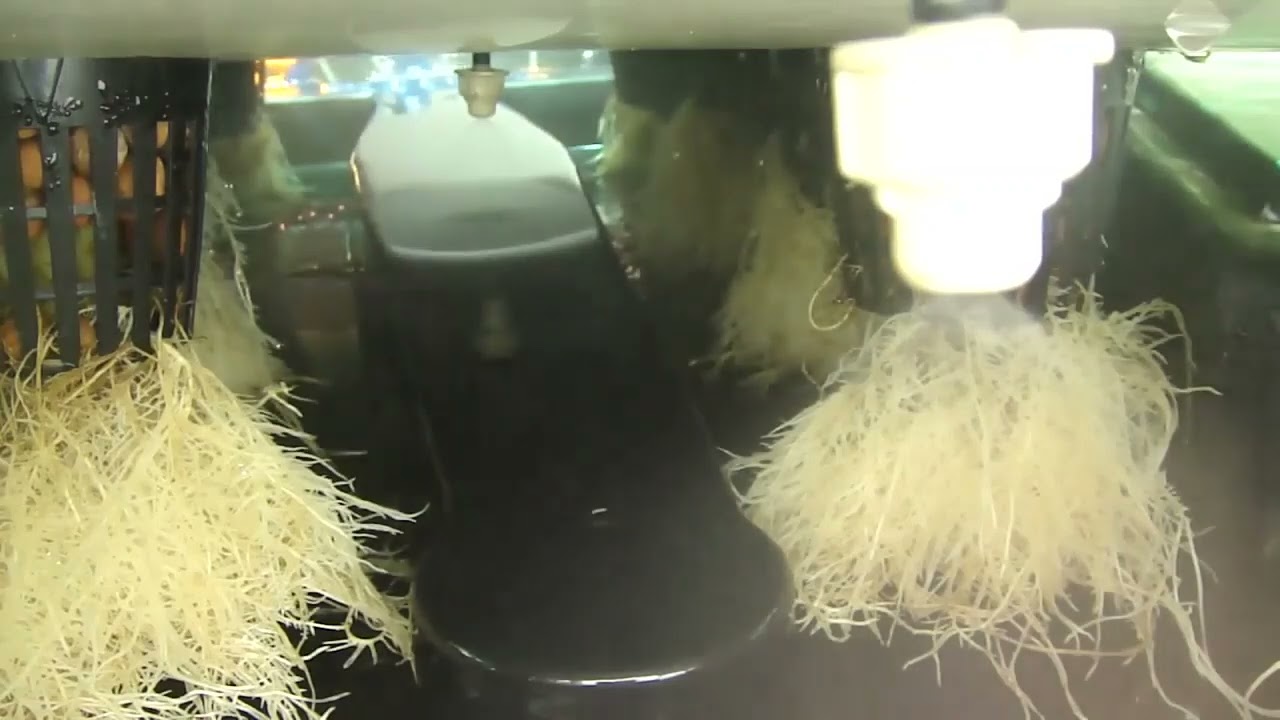 DIY Aeroponics SUPER FINE MIST Multiponics (Short Clip) - YouTube