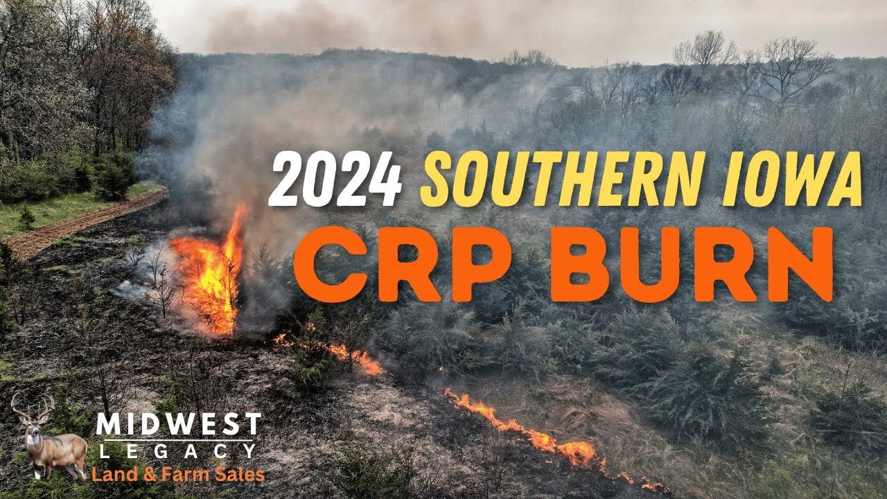 2024 Southern Iowa CRP Burn - YouTube