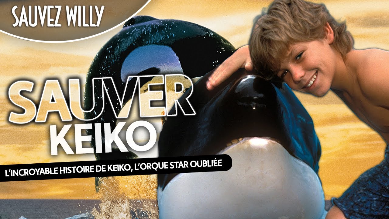SAUVEZ WILLY (1993) - La Triste Vérité Derrière Le Film - YouTube