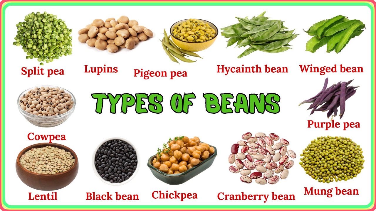 Types of Beans and Legumes Vocabulary in English | Common Bean Names ...