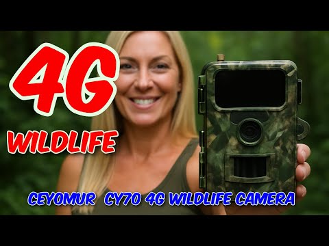 The Best Budget Sim Card TrailCam - CEYOMUR  CY70 4G Wildlife Camera Review