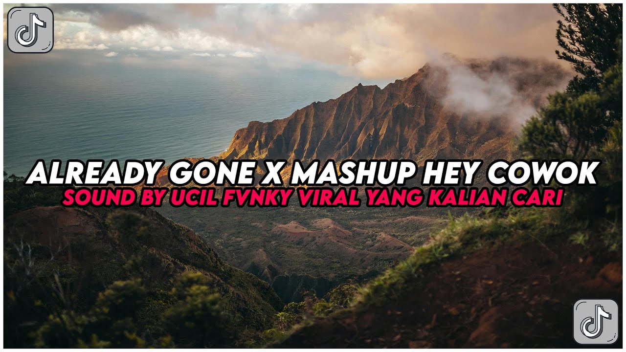 DJ Already Gone X Mashup Hey Cowok Sound By Ucil Fvnky Terbaru 2025 ...