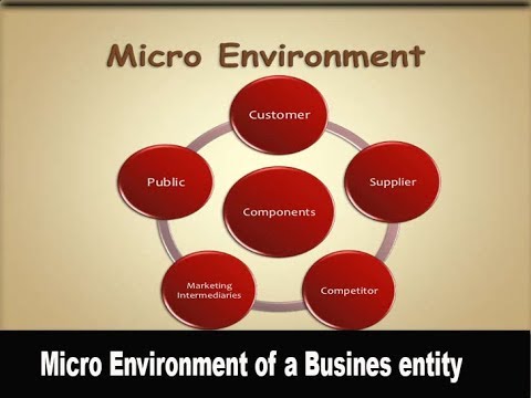Elements of the micro environment of a Business entity - YouTube