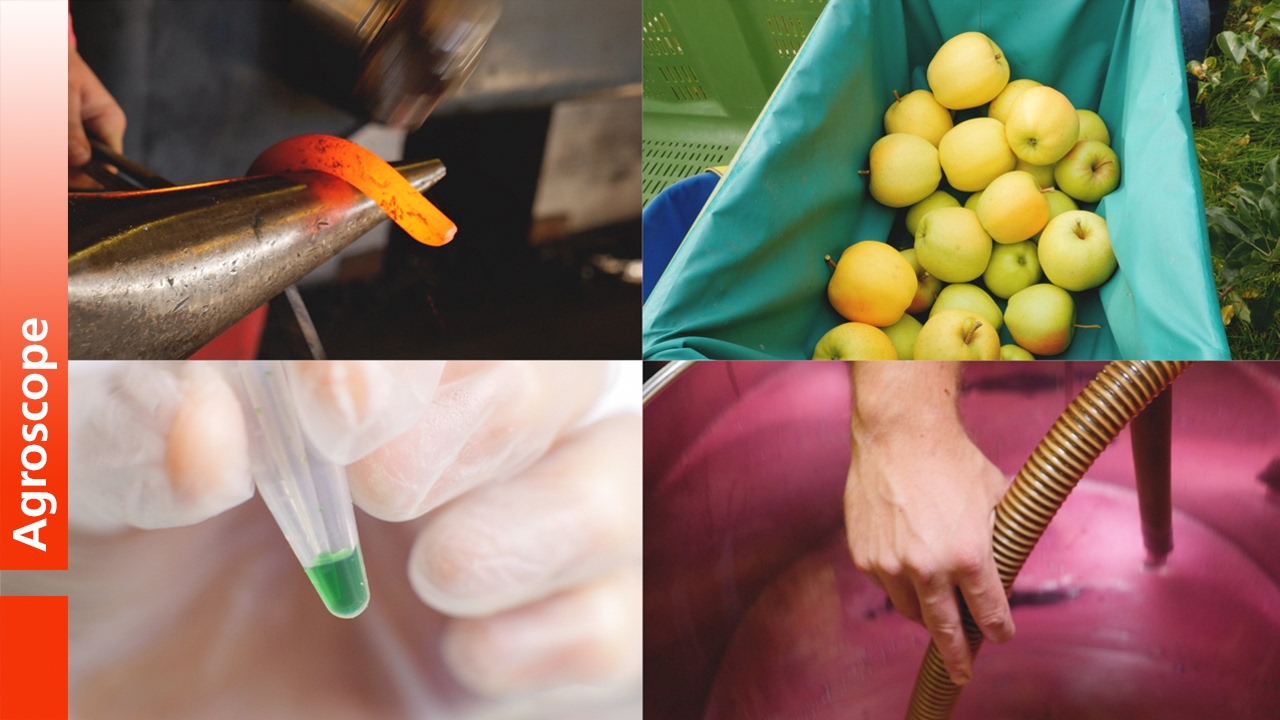 La formation professionnelle initiale chez Agroscope - YouTube