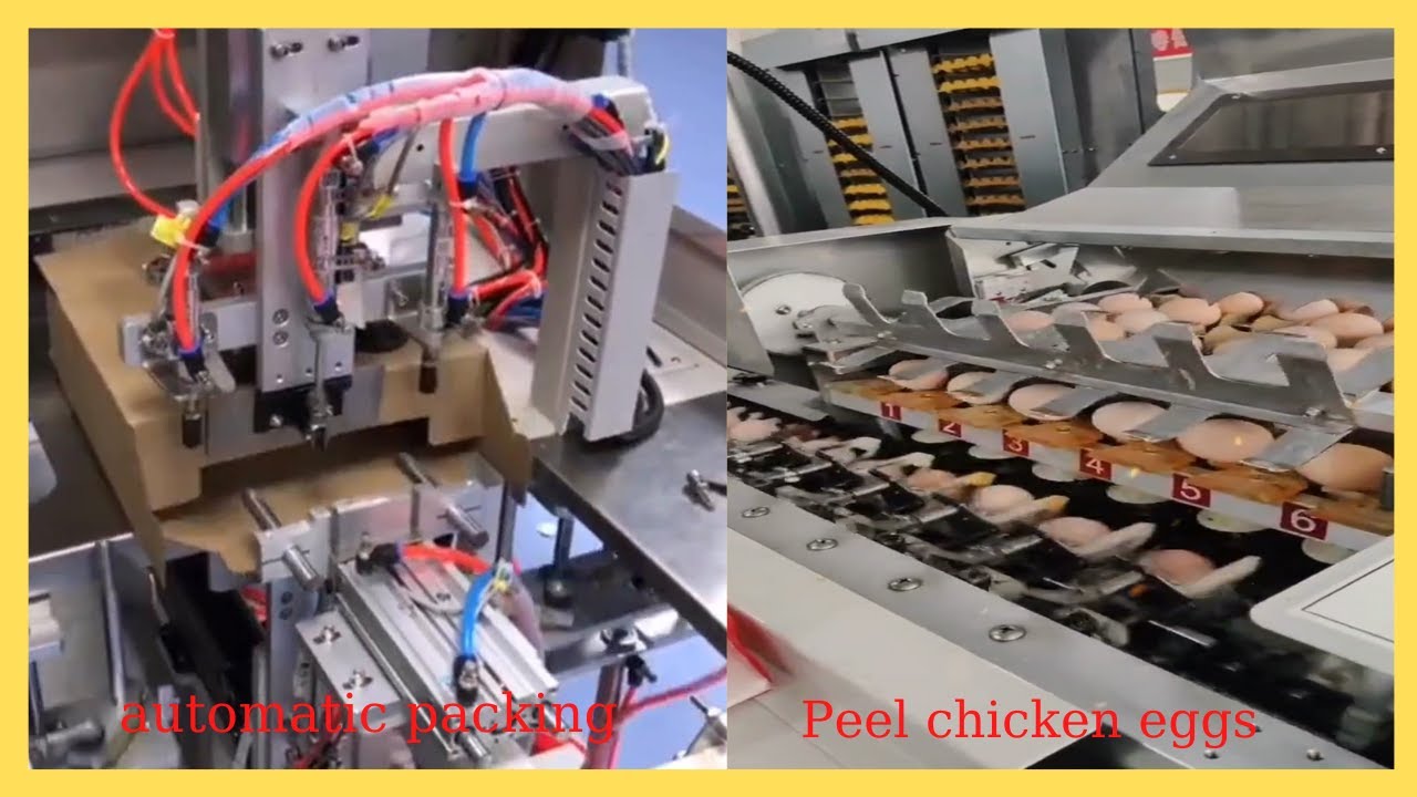 In The WorkShop funny and excited - YouTube