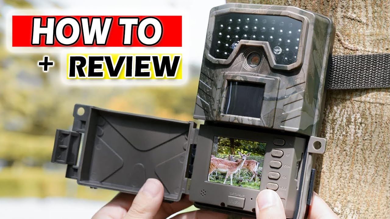 Get PROFESSIONAL Grade Trail Camera Shots Overnight! - YouTube