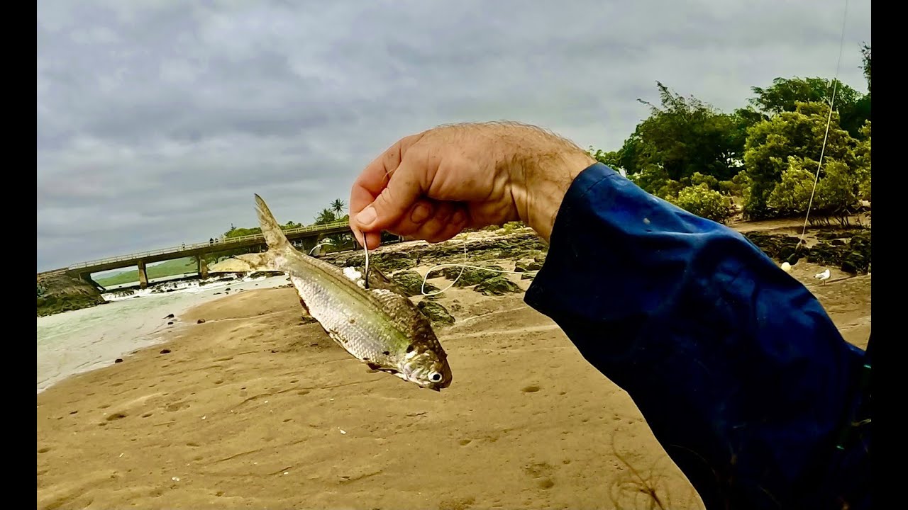This bait catches BIG fish in STORM - YouTube