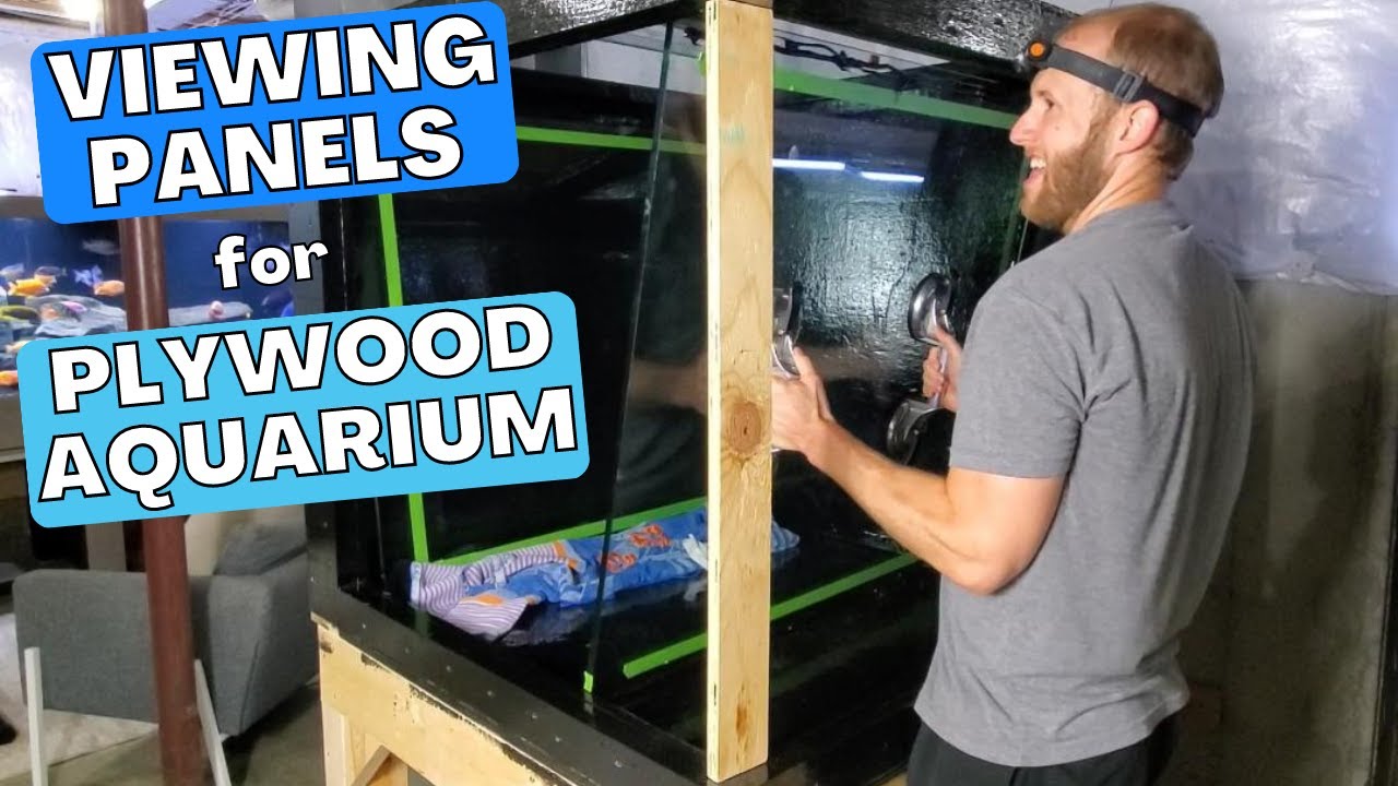 How to Install Glass VIEWING PANELS in your PLYWOOD AQUARIUM - YouTube
