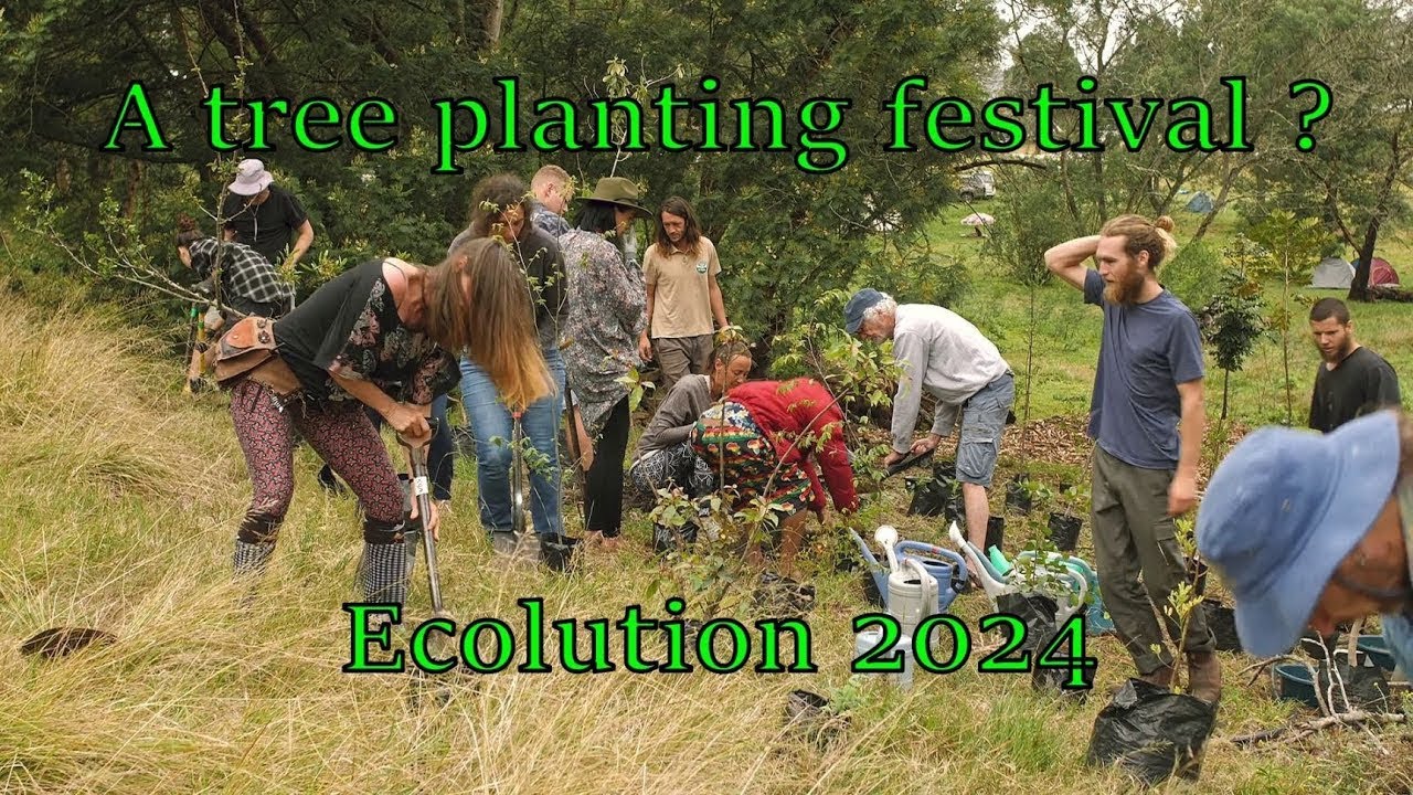 Ecolution 2024- a tree planting festival - YouTube