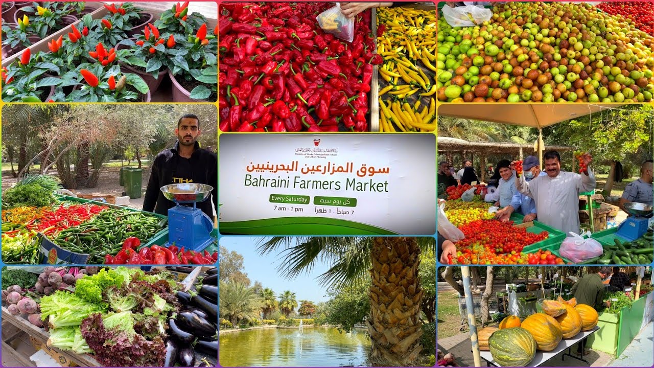 Farmers market Bahrain | fresh vegetables | plants | winter farmers ...