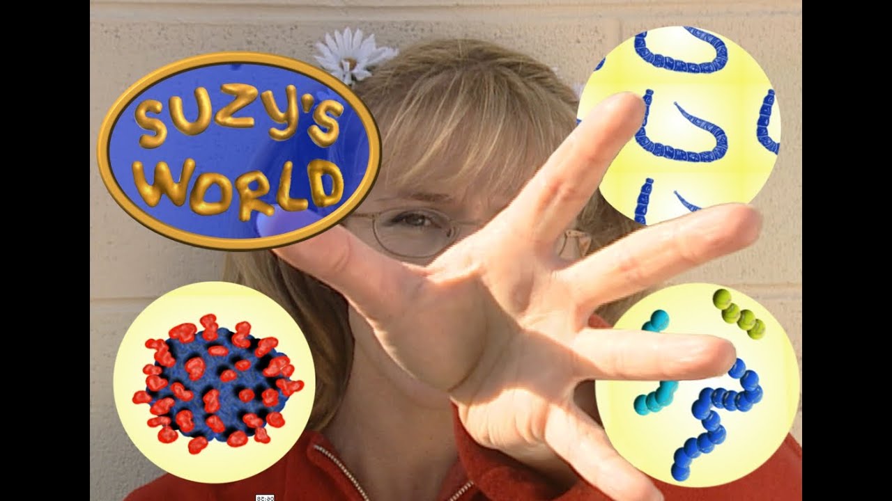 Why do I need to wash my hands? - Suzy's World - YouTube