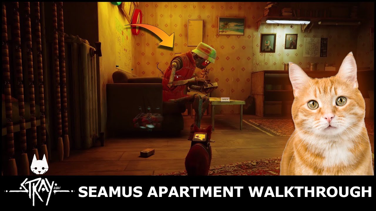 Stray Seamus Apartment Walkthrough - YouTube