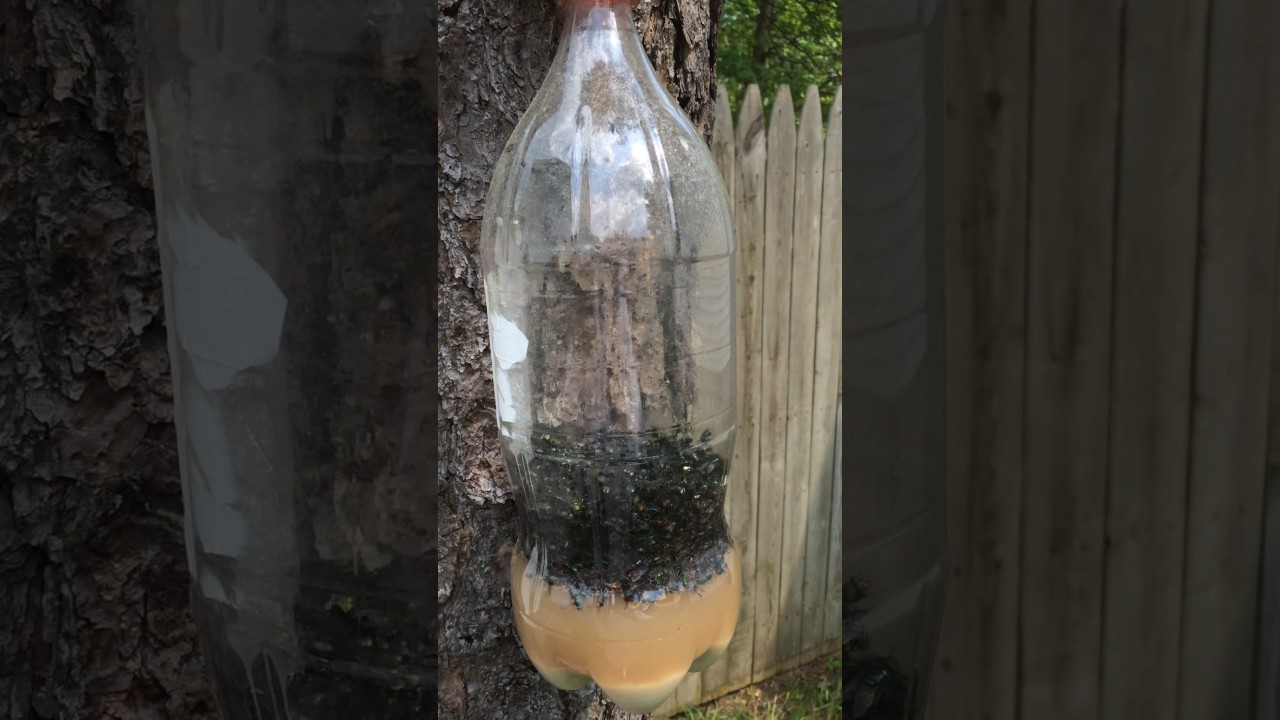 The NEW Flies Be Gone "Monster" Fly Trap - YouTube