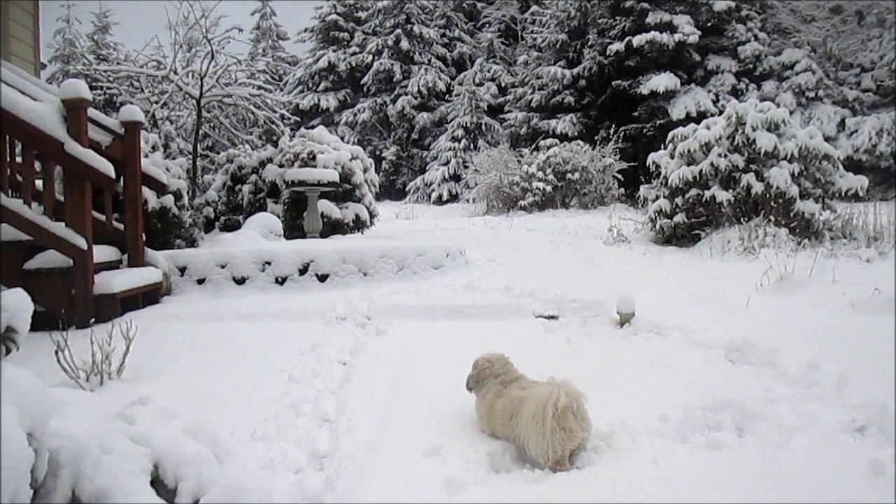 SEEING SNOW FOR THE 1ST TIME - YouTube