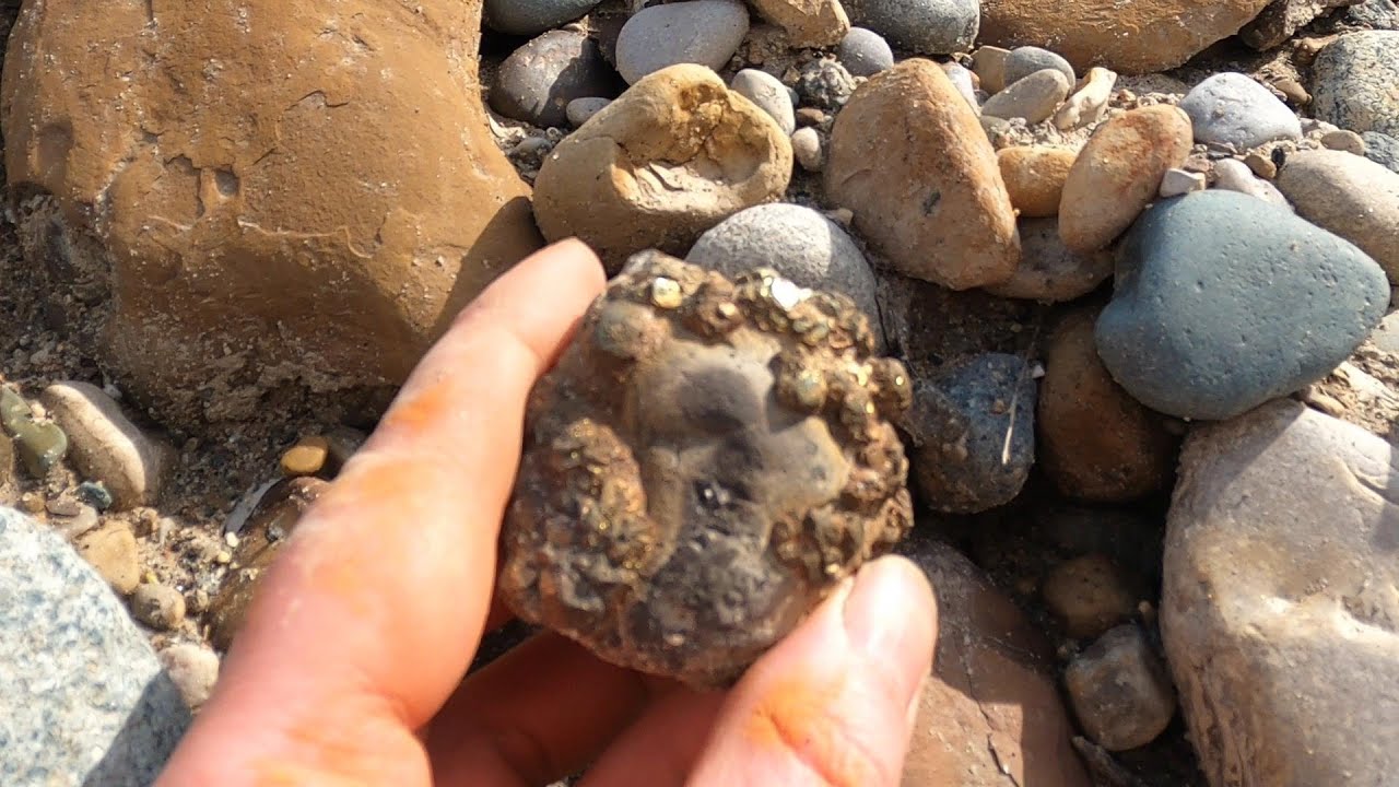 Gold Prospectors of Michigan Outing in Athens - YouTube