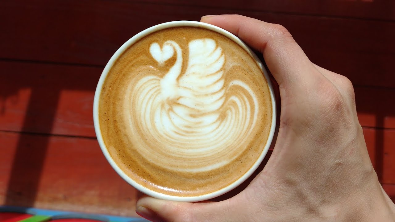 Muestra de vertido cisne 🦢 arte latte. - YouTube