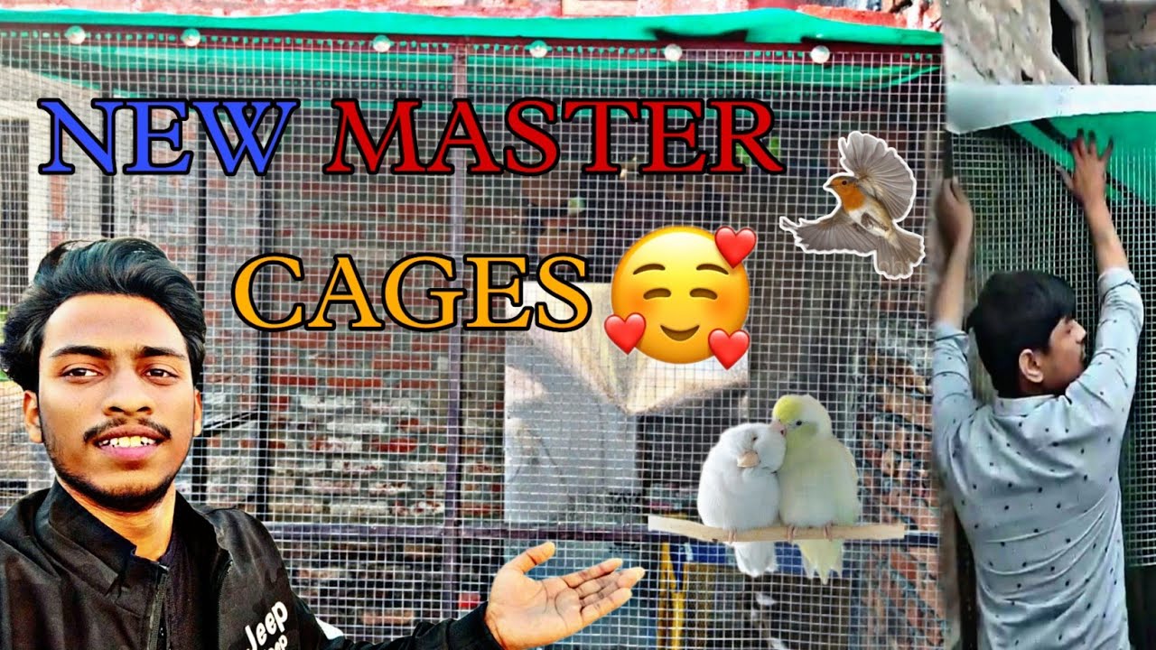 HOW TO MAKE BIG MASTER CAGES || How to make a bird cage - YouTube