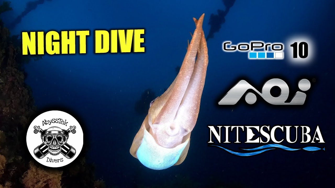 GOPRO 10 NIGHT DIVE (AOI LENS & NITESCUBA) - YouTube