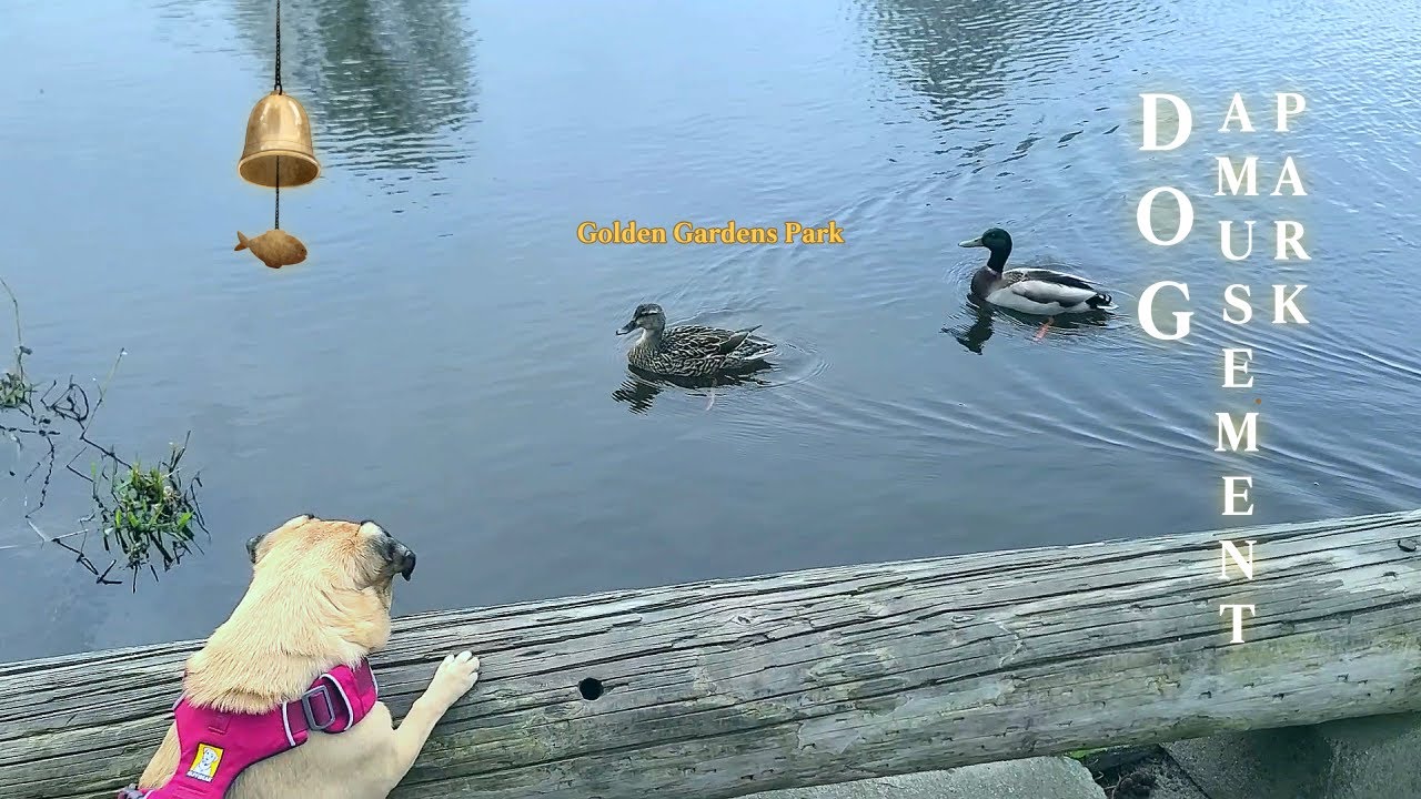 still not warm enough to fully enjoy the outdoor activities - YouTube